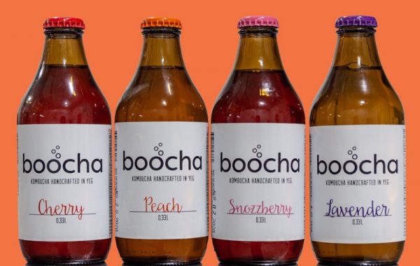 Boocha – Kombucha Handcrafted in YEG