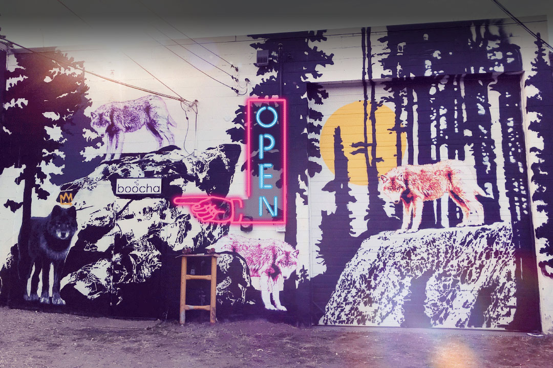 Boocha – Kombucha Handcrafted in YEG