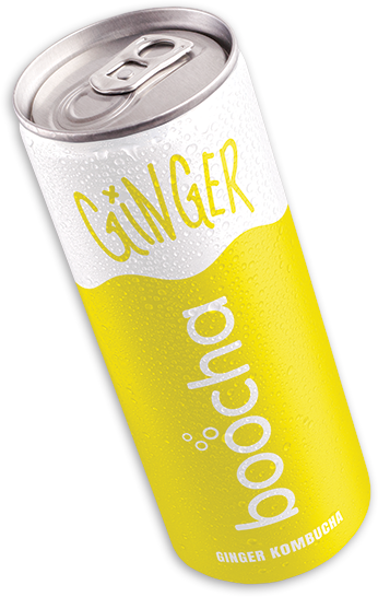 Boocha – Kombucha Handcrafted in YEG