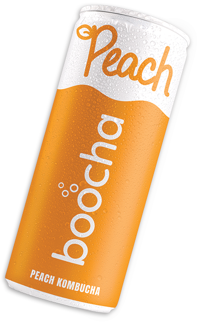 Boocha – Kombucha Handcrafted in YEG