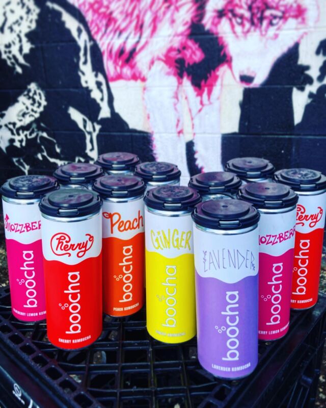 Boocha – Kombucha Handcrafted in YEG