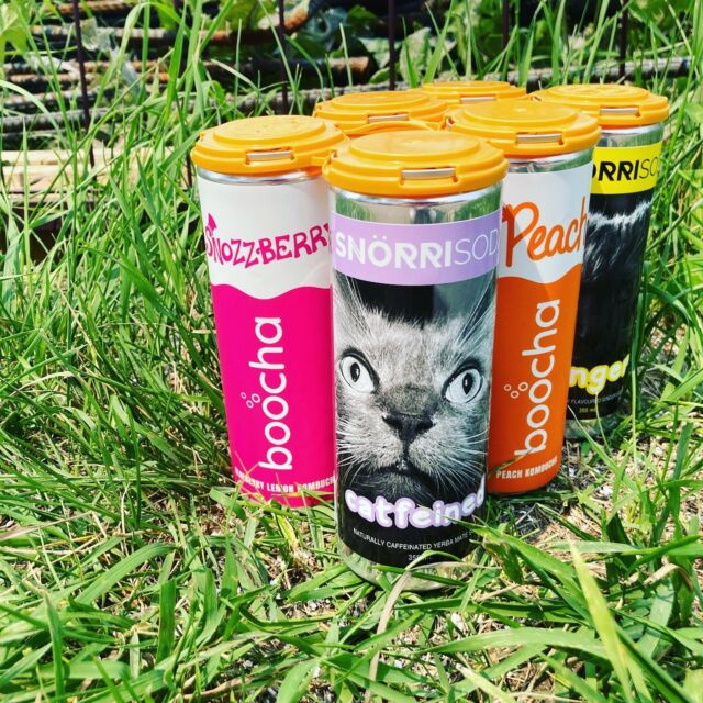 Boocha – Kombucha Handcrafted in YEG