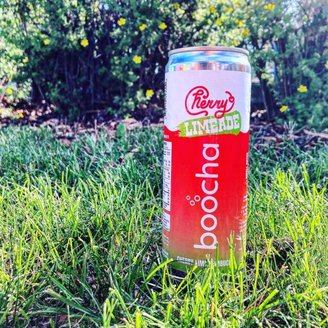 Boocha – Kombucha Handcrafted in YEG